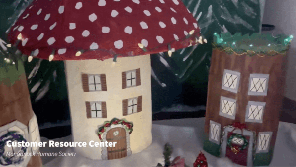 Savings Bank of Walpole Announces Winning Branch of Fifth Annual ...